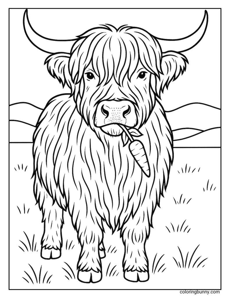 Highland Cow Coloring Pages (44 Free Printable PDFs)