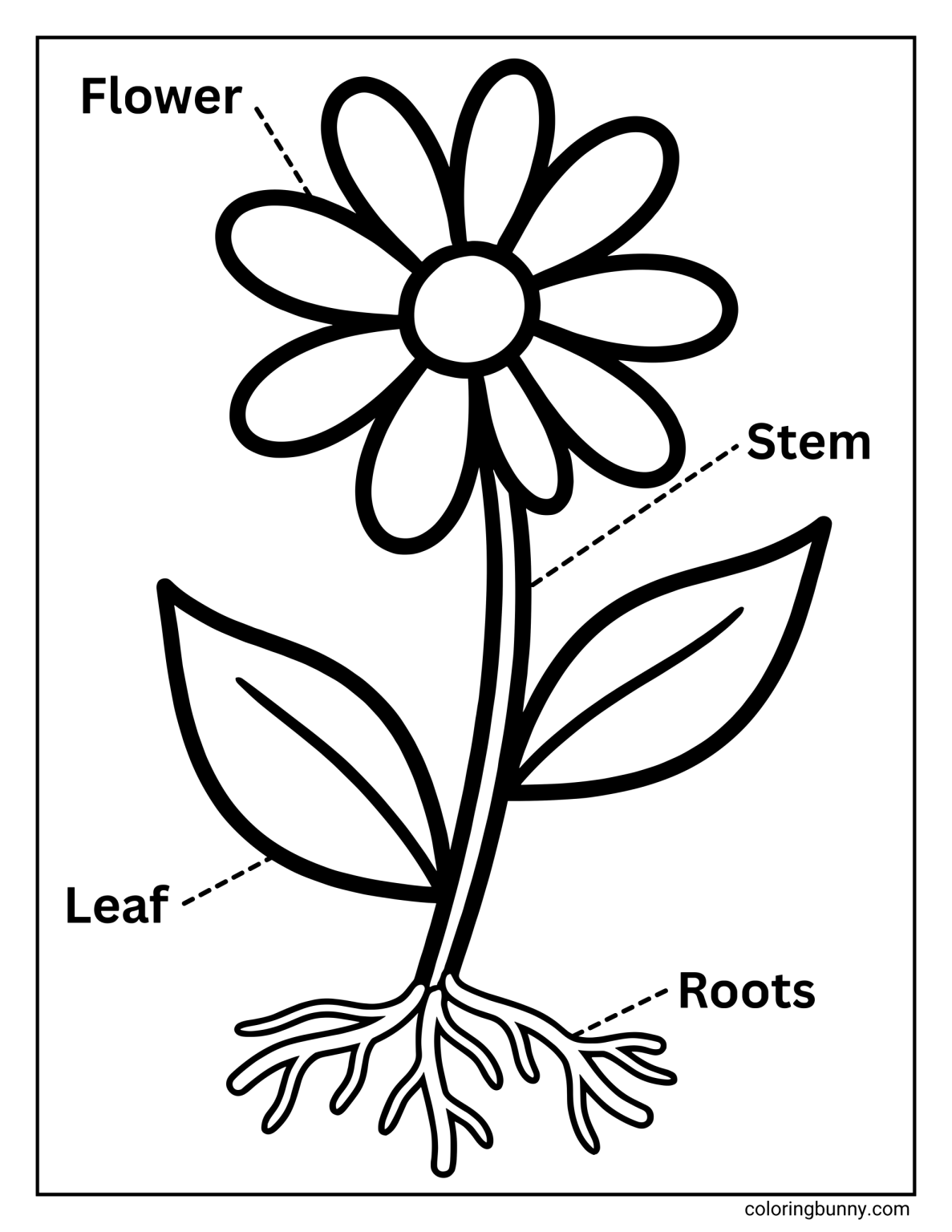 Flower Coloring Pages (40 Free Printable PDFs)